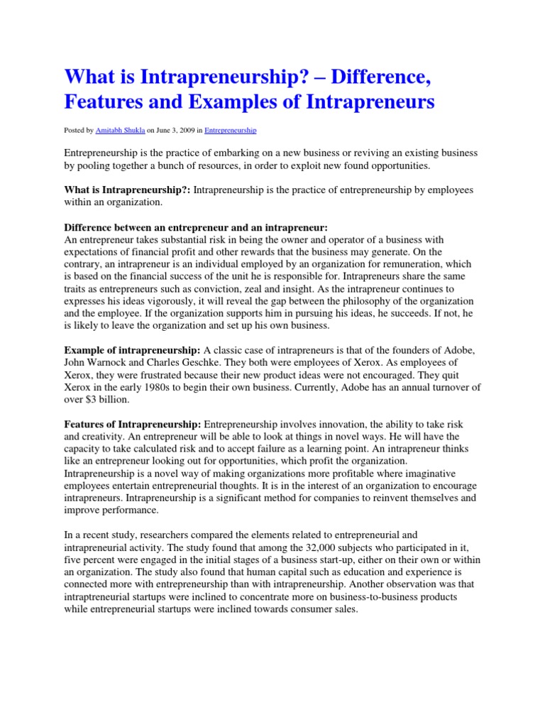 Understanding Intrapreneurship: Key Insights | PDF | Entrepreneurship ...