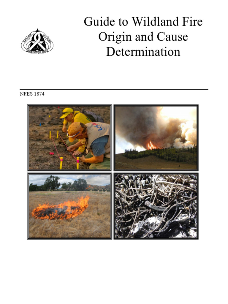 Wildland Fire Origin & Cause Guide | PDF | Fires | Wildfire