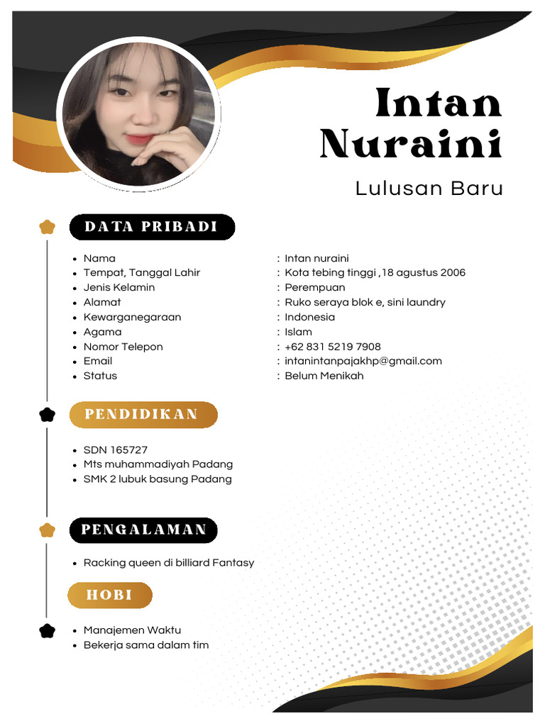 Cv intan | PDF