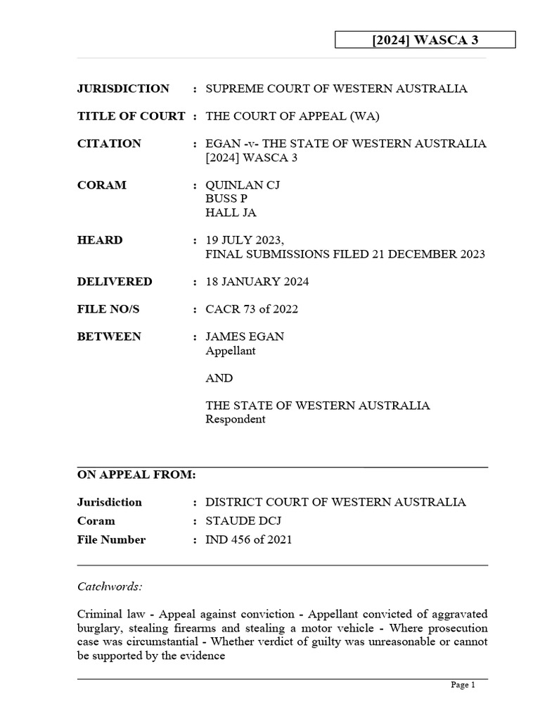 Egan v State of WA: Appeal Verdict Summary | PDF | Burden Of Proof (Law ...