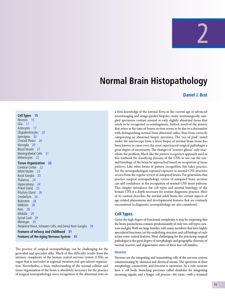 Normal Histology of the Brain | PDF | Cerebellum | Central Nervous System