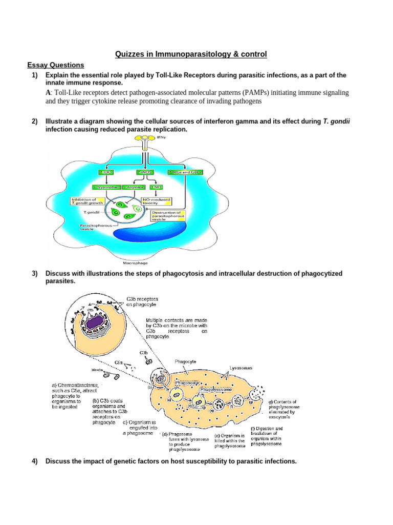 Immunoparasitology Quiz Questions | PDF | Immune System | Complement System