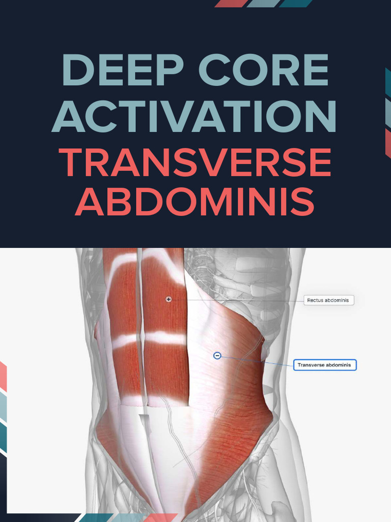 Deep Core Activation for Back Pain Relief | PDF | Musculoskeletal ...