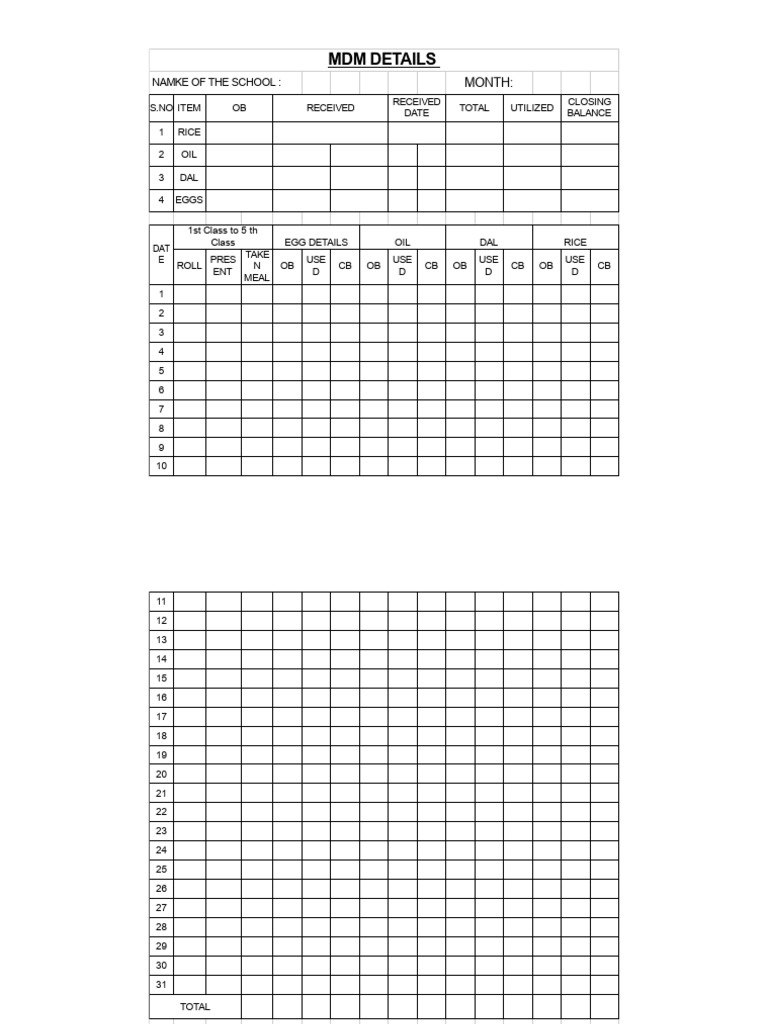 MDM Monthly Report Format | PDF