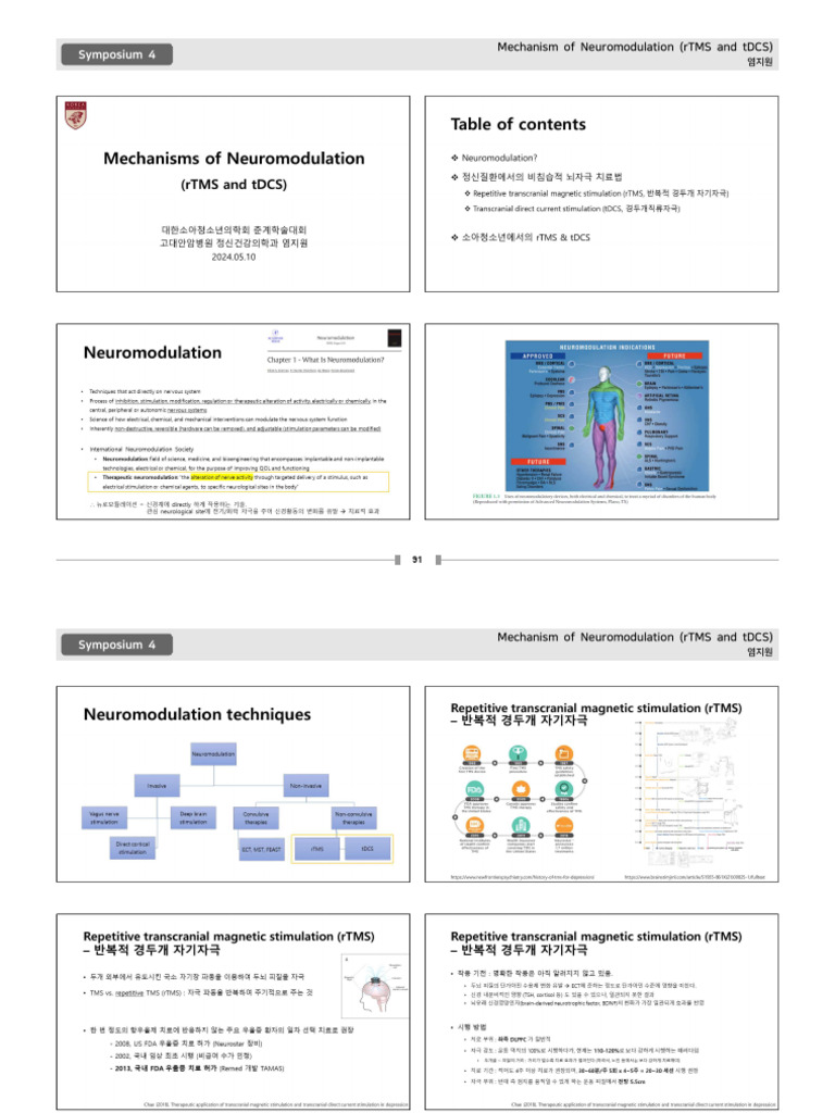 Mechanism of Neuromodulation (RTMS and TDCS) | PDF