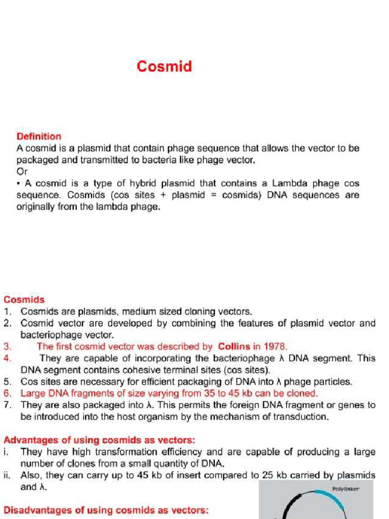 Cosmid | PDF