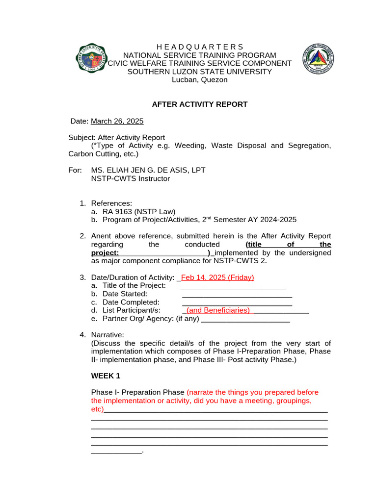 After Activity Report Guidelines | PDF