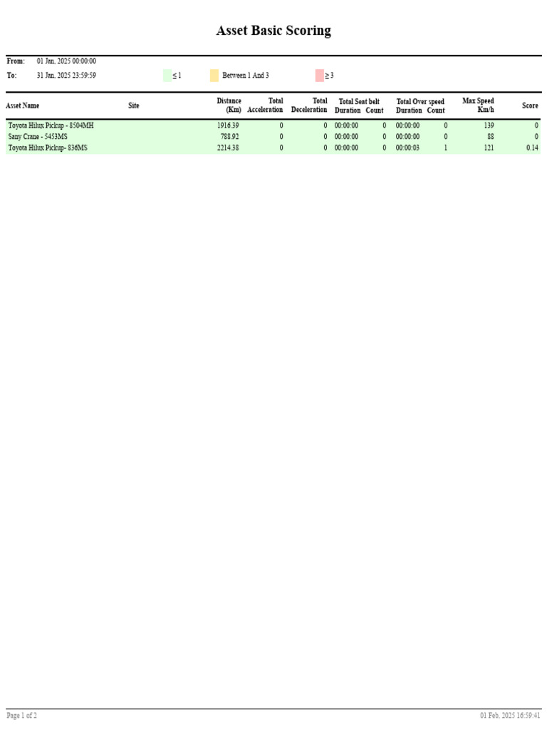 Basic Scoring Report 2025-02-01 04-59-41 | PDF