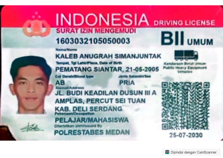 Sim Bii Adek | PDF