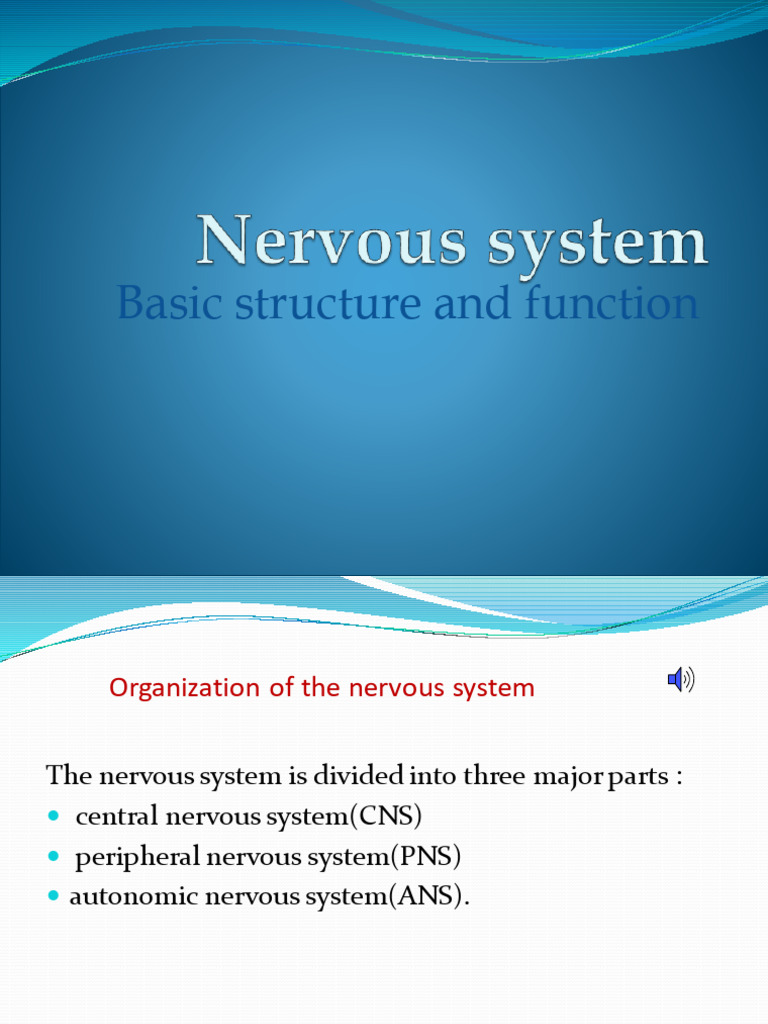 Nervous System -Basic Structure and function | PDF | Chemical Synapse | Neurotransmitter