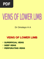 Understanding Batson's Plexus Anatomy | PDF | Vertebra | Vein