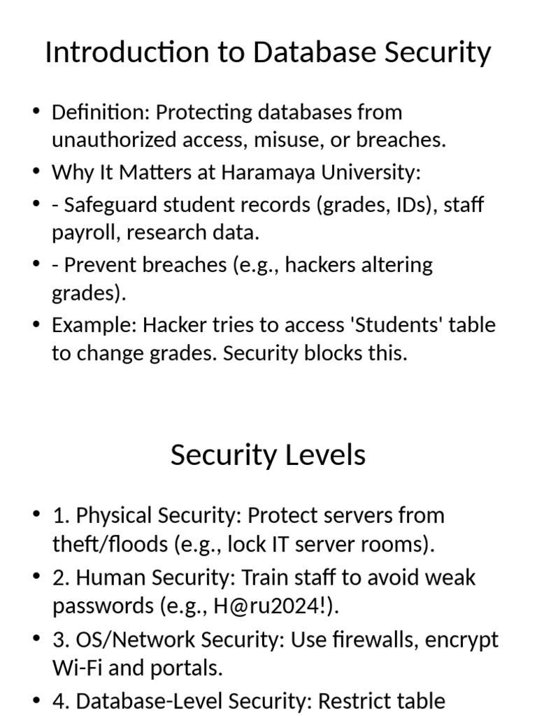 Database Security Essentials at Haramaya | PDF | Security | Computer ...