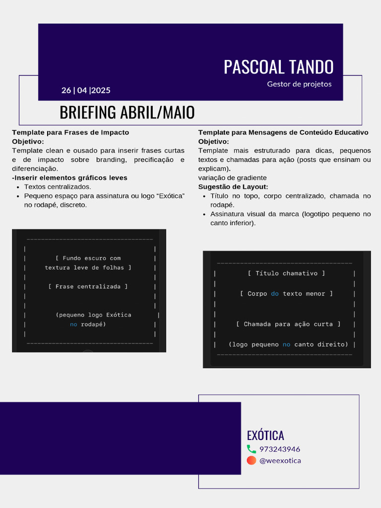 Briefing Templates PDF | PDF