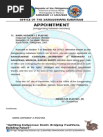 Videoke Curfew Ordinance 2024 | PDF | Local Ordinance | Government