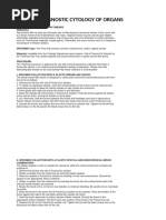 Fern Test Procedure for Amniotic Fluid | PDF | Childbirth
