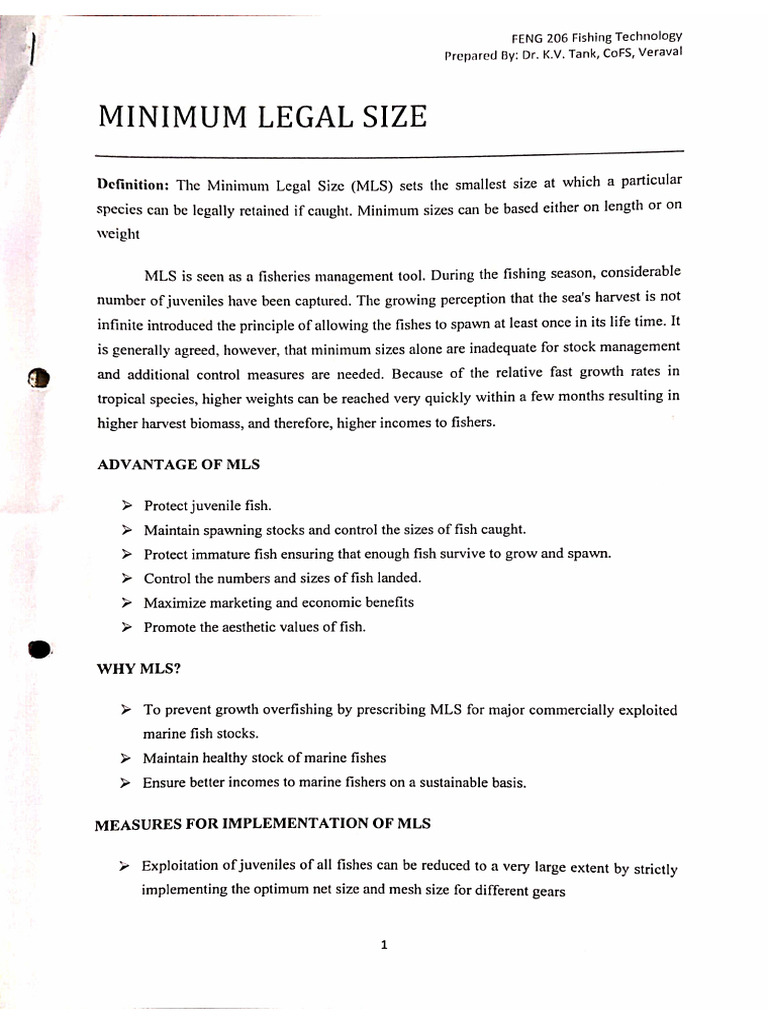 Minimum Legal Size | PDF