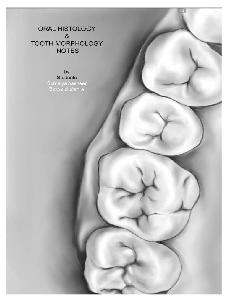 Oral Histology & Tooth Morphology Notes | PDF | Dental Anatomy | Human ...