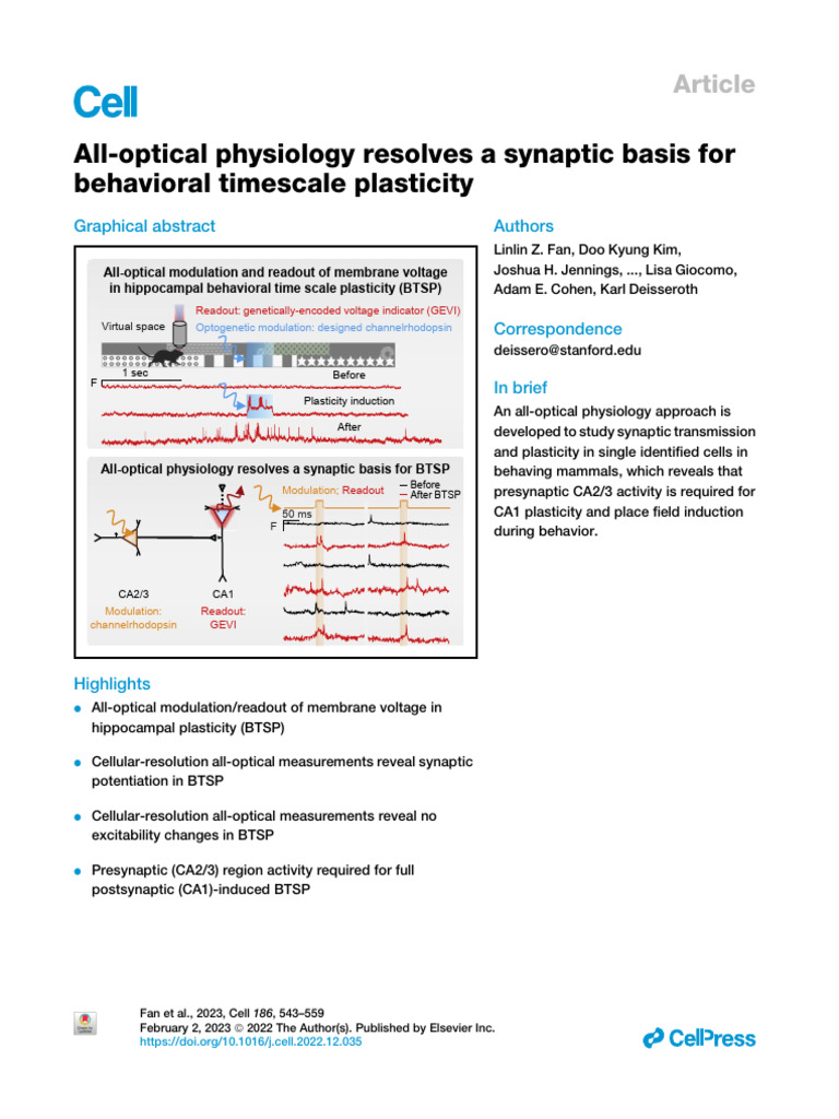 All-Optical Study of Synaptic Plasticity | PDF | Synapse | Synaptic ...