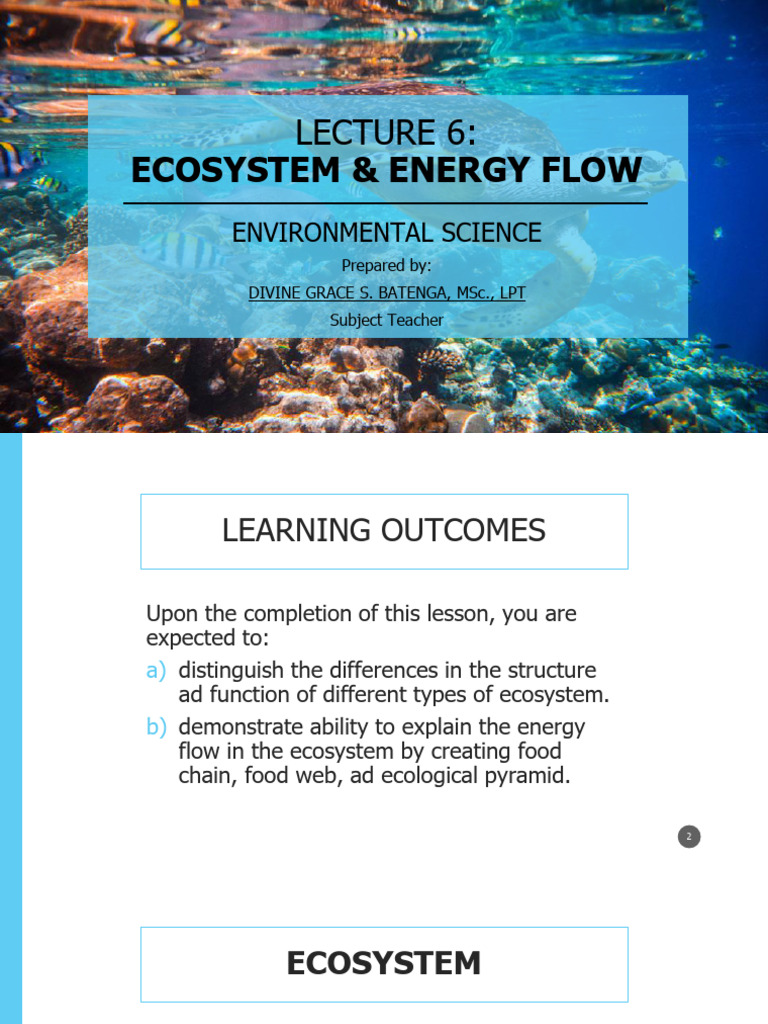 ES LECTURE 6 - Ecosystem and Energy Flow PDF | PDF | Ecosystem | Food Web