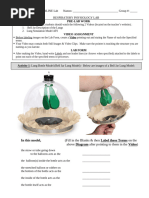 Bell Jar Breathing Model Experiment | PDF | Breathing | Exhalation