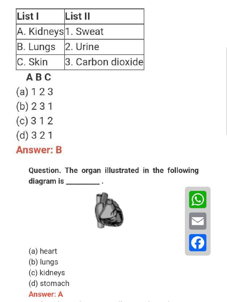 Human Body Revision Questions Along With Answers. | PDF