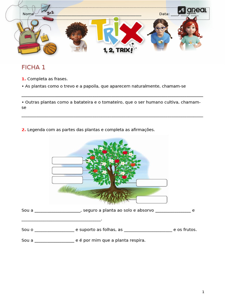 Ae Fichas Recuperacao 3ano em Prof | PDF