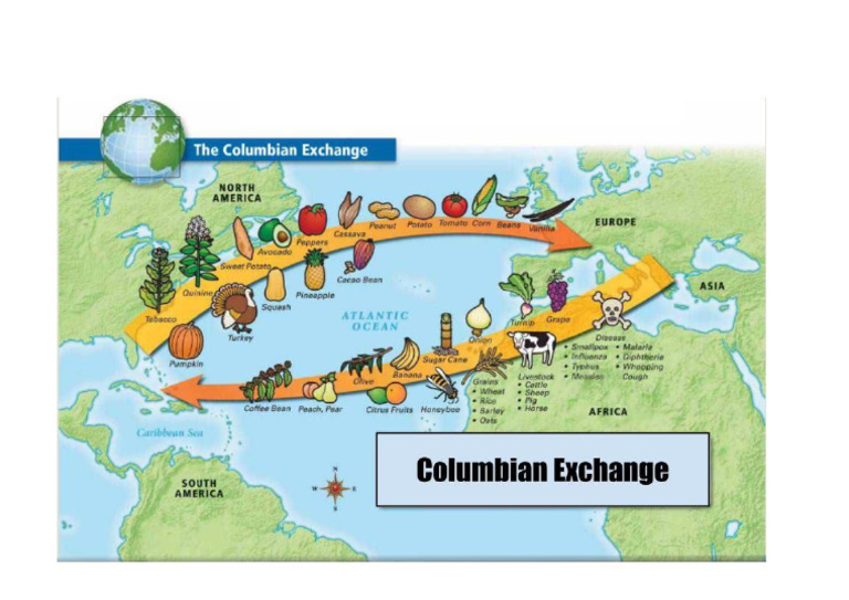 The Great Columbian Exchange of Plants Animals and Viruses | PDF