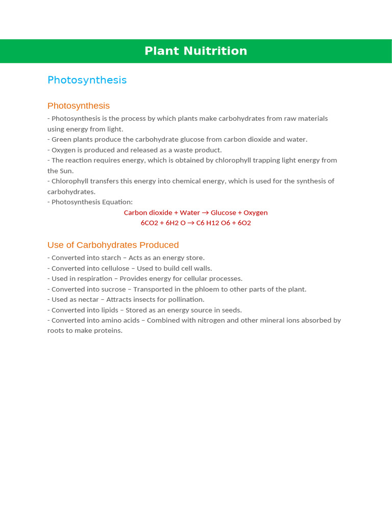 Plant Nutrition | PDF | Photosynthesis | Leaf