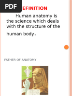 Anatomy Mnemonics for Students | PDF | Arm | Elbow