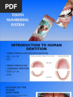 Teeth Numbering System | PDF | Dentistry | Dental Anatomy