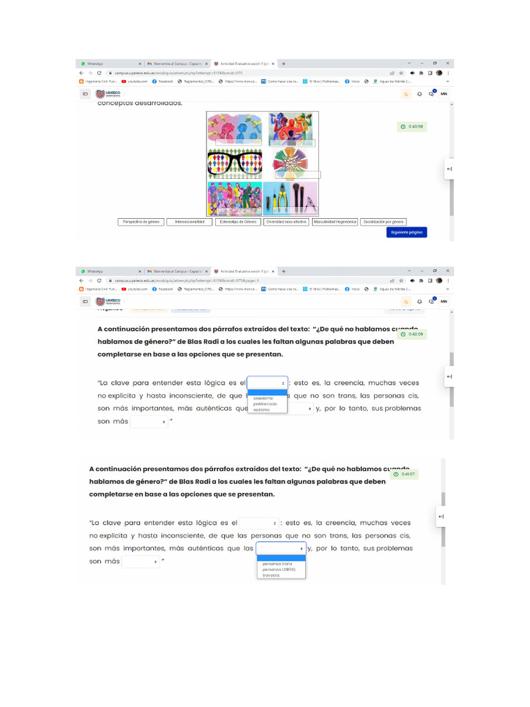 Ley Micaela Prueba | PDF