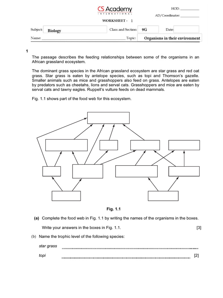 Organisms & Their Environment 3 WS | PDF | Food Web | Foods