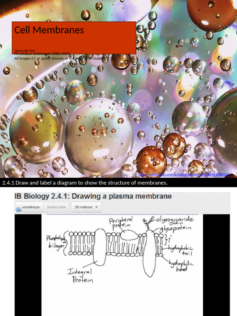 Diffusion and Osmosis | PDF | Cell Membrane | Osmosis