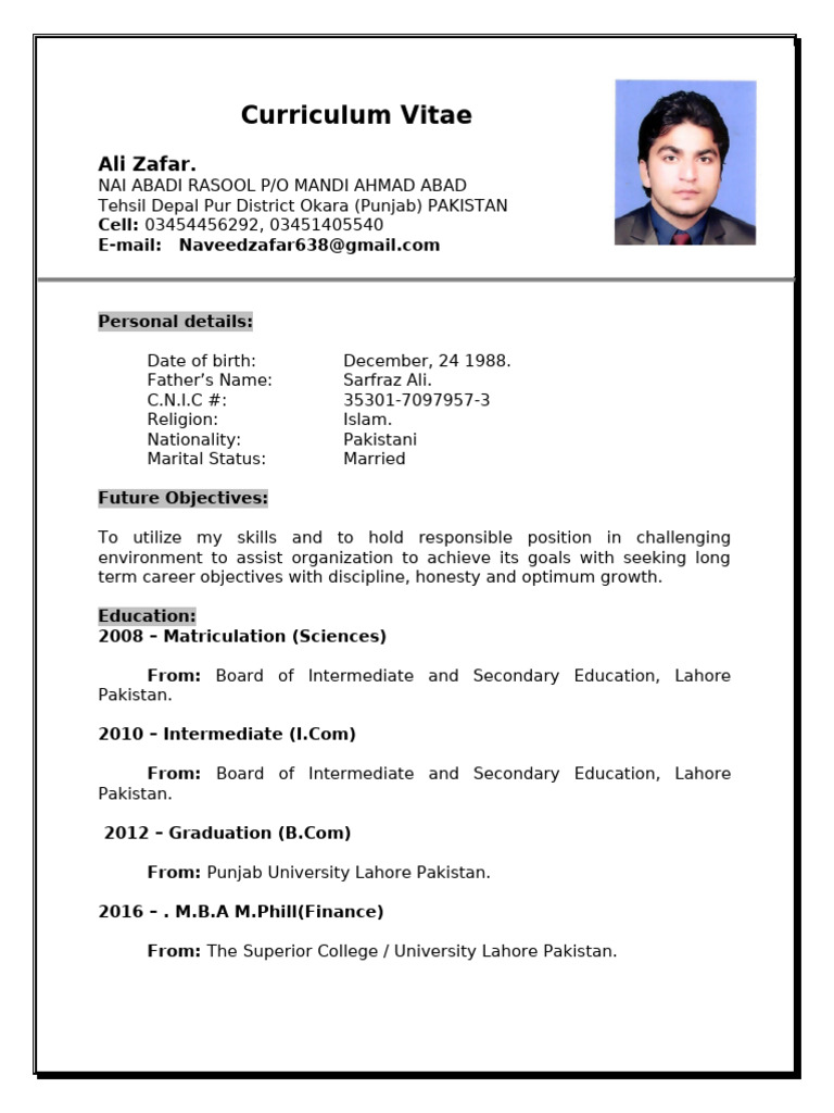 Ali Zafar's Professional CV | PDF