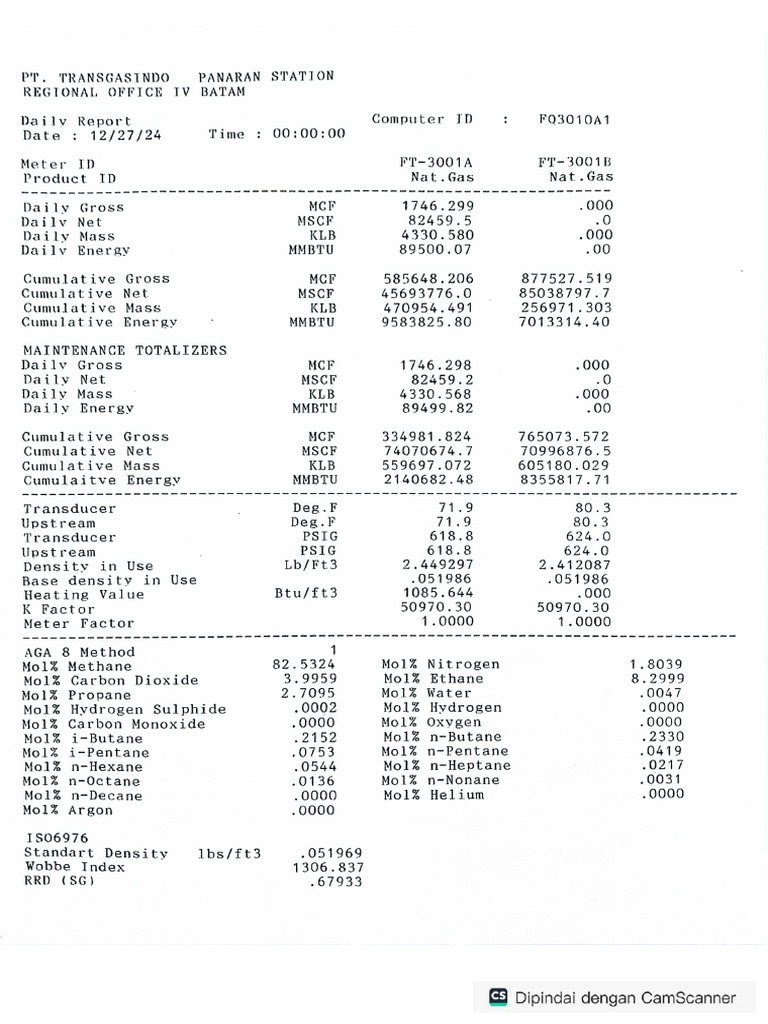 Gas Daily Report FQ 3010 A1 | PDF