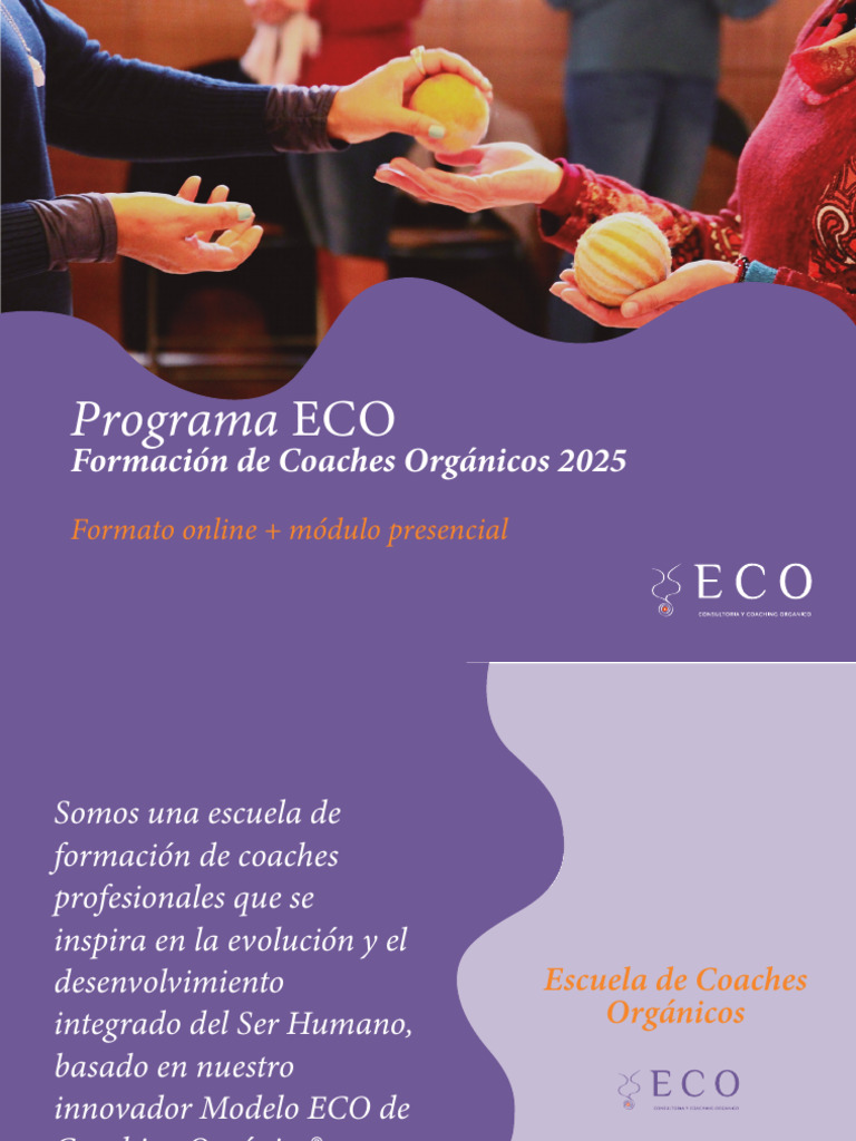 Brochure ECO 2025 | PDF