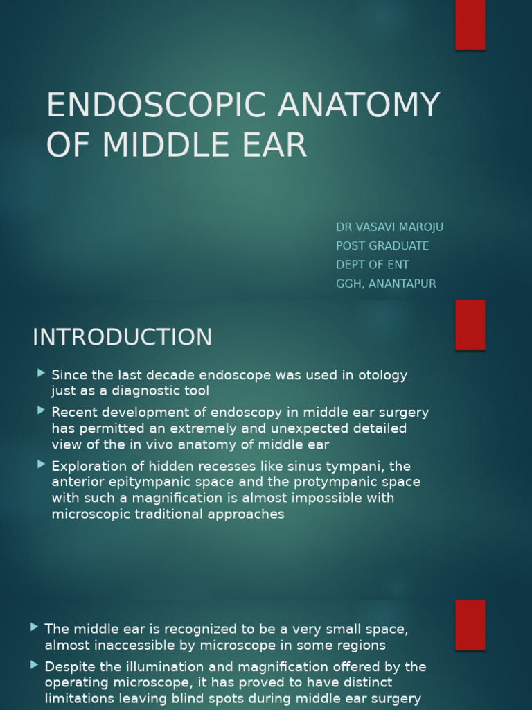 Endoscopic Anatomy of Middle Ear | PDF | Ear | Surgical Specialties