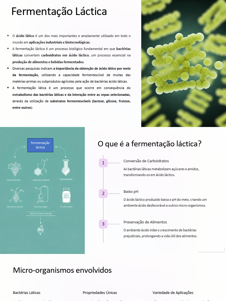 Fermentação Láctica: Processo e Benefícios | PDF | Fermentação | Bactérias