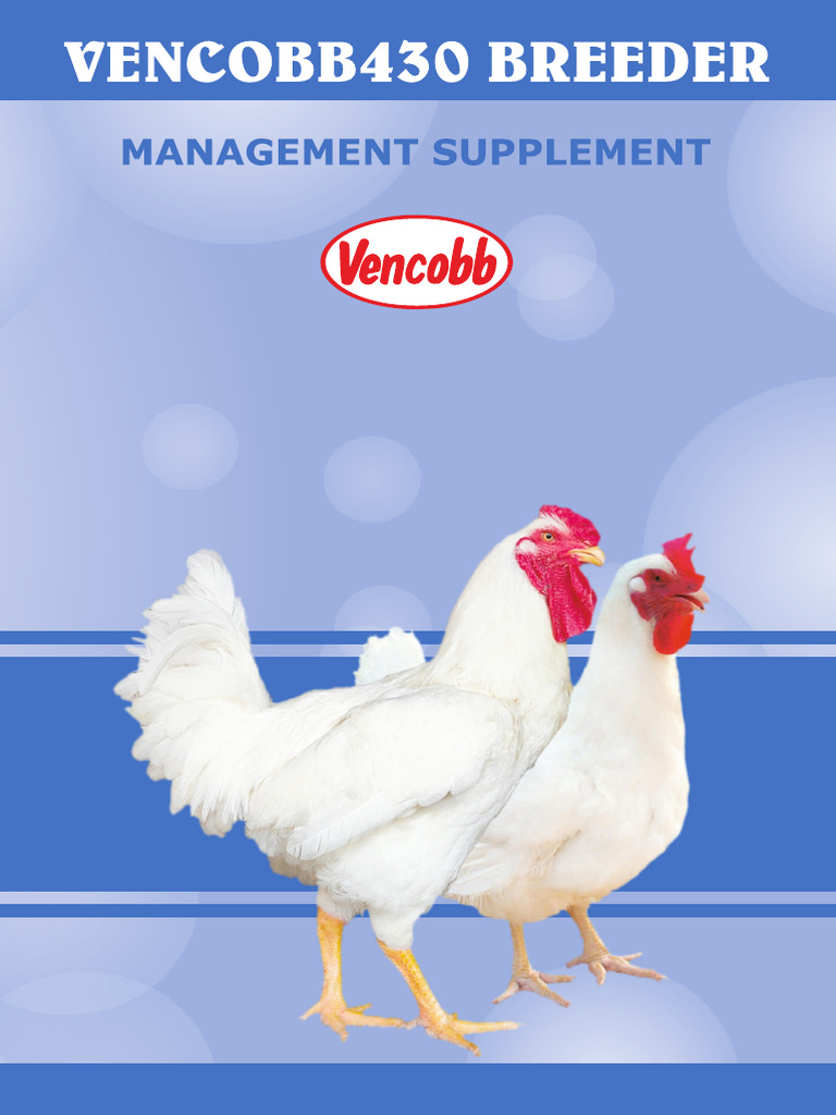 Vencobb 430 Broiler Management Guide | PDF | Chicken | Egg