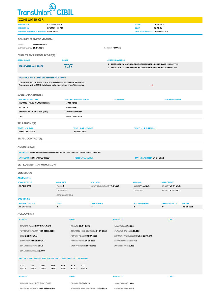 Consumer Credit Report Summary | PDF | Interest | Loans