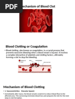 Blood Clotting as Positive Feedback | PDF