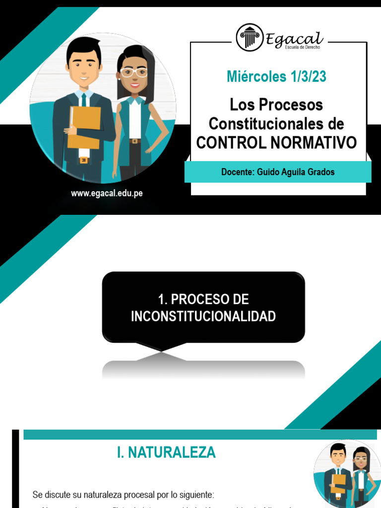 1-3-23 GAG PPT Proc Const Control Normativo | PDF | Mandato | Ley procesal