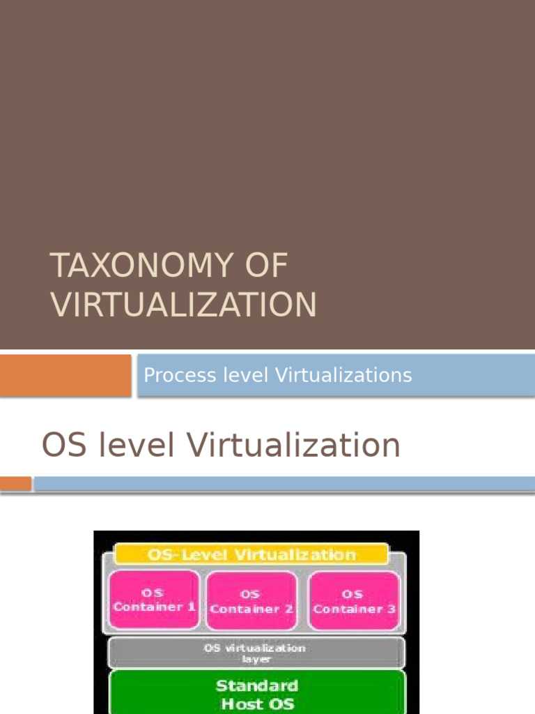 Process Level VIrtualization | PDF | Virtualization | Operating System