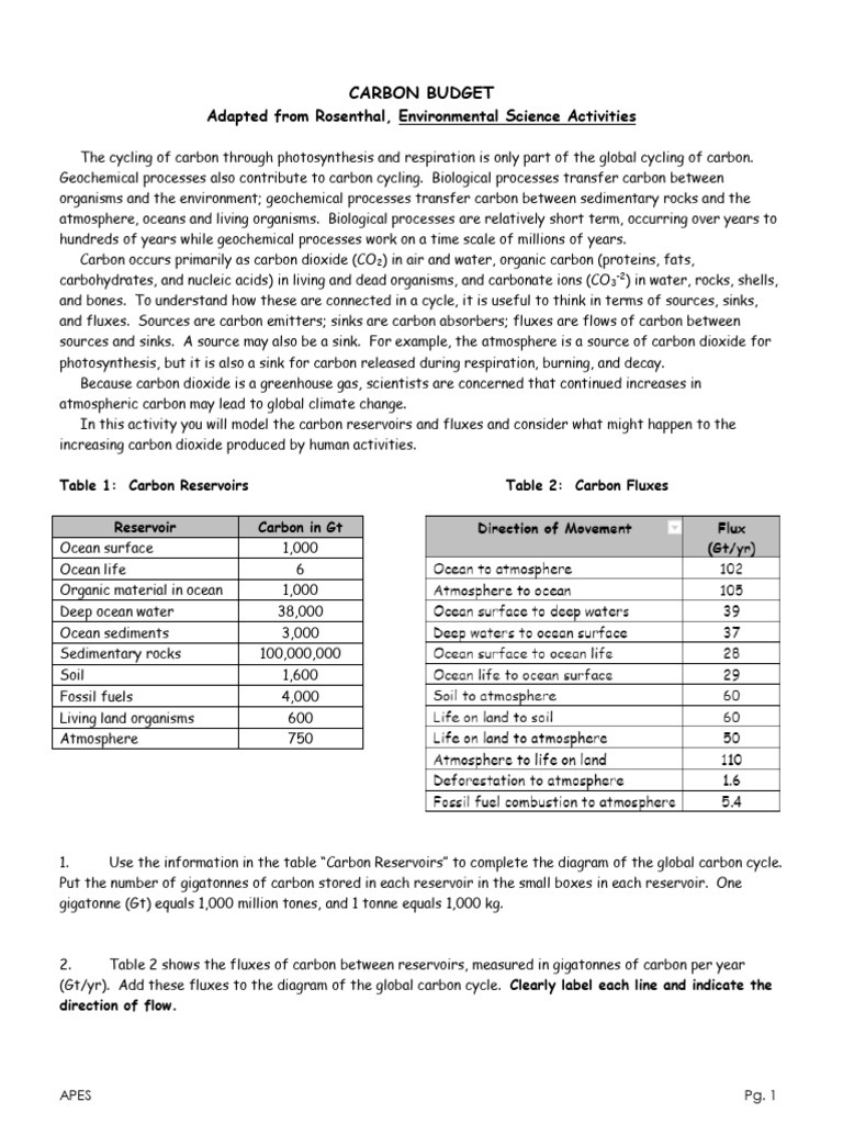 DeLozierCopy of Carbon Budget | PDF | Carbon Cycle | Carbon Sink