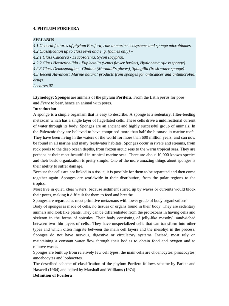 Invertebrate Zoology: Phylum Porifera | PDF | Sponge | Organisms