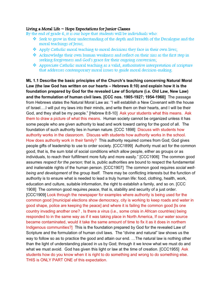Understanding Catholic Moral Teaching | PDF | Sermon On The Mount | Jesus