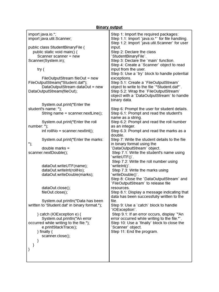 PROGRAM 22 Binary Output | PDF | Integer (Computer Science) | Command Line Interface