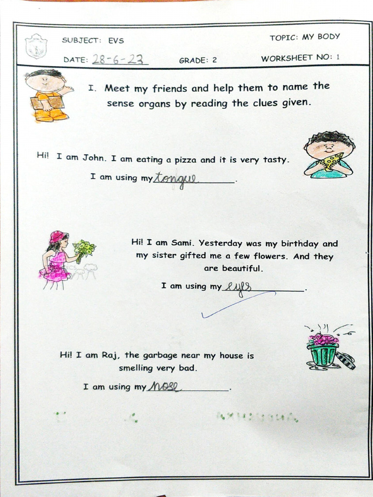 Body Parts and Family Worksheet LKG | PDF