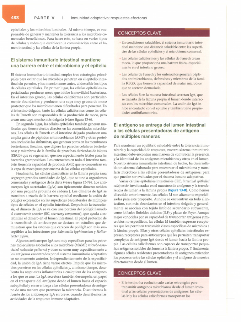 Kuby Inmunologia 8 Ed Jenni Punt PDF | PDF