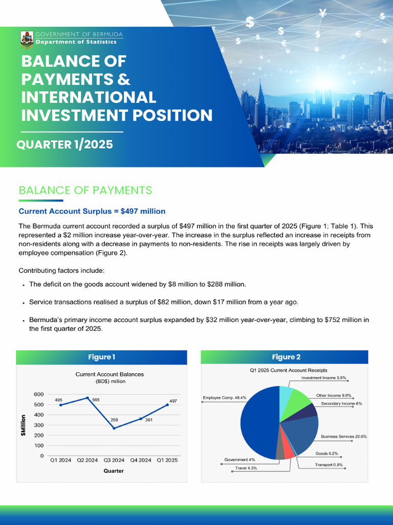 Balance of Payments 1st Quarter - 2025 | PDF
